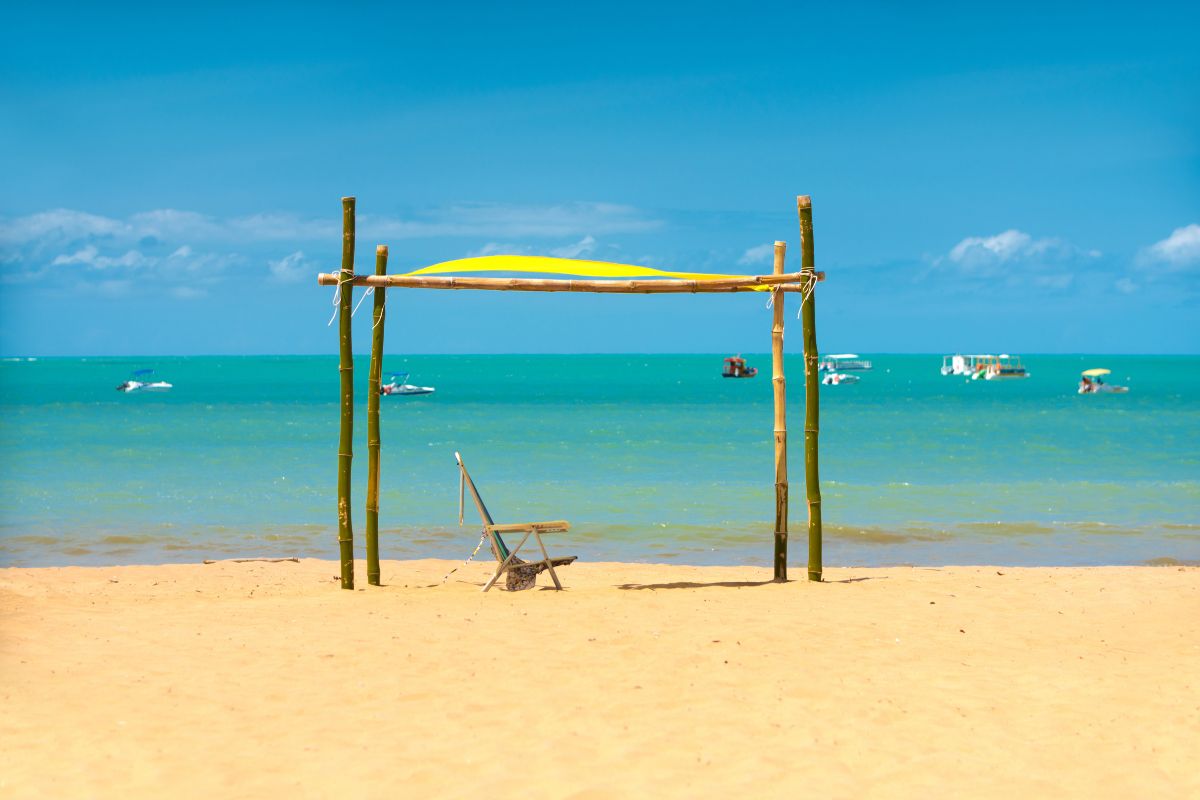 Maceió a Porto de Galinhas: conheça os atrativos do percurso! | Blog